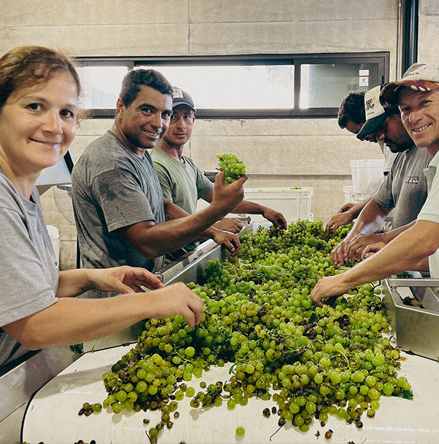 Bodega | Castel Conegliano